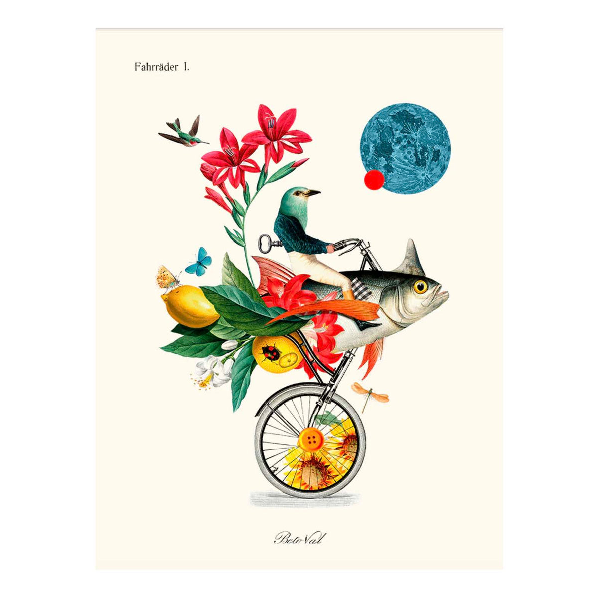 Cycle Fish - Béto val– Galerie Portfolio