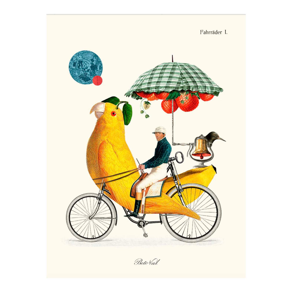 Bird Cycle - Béto Val– Galerie Portfolio