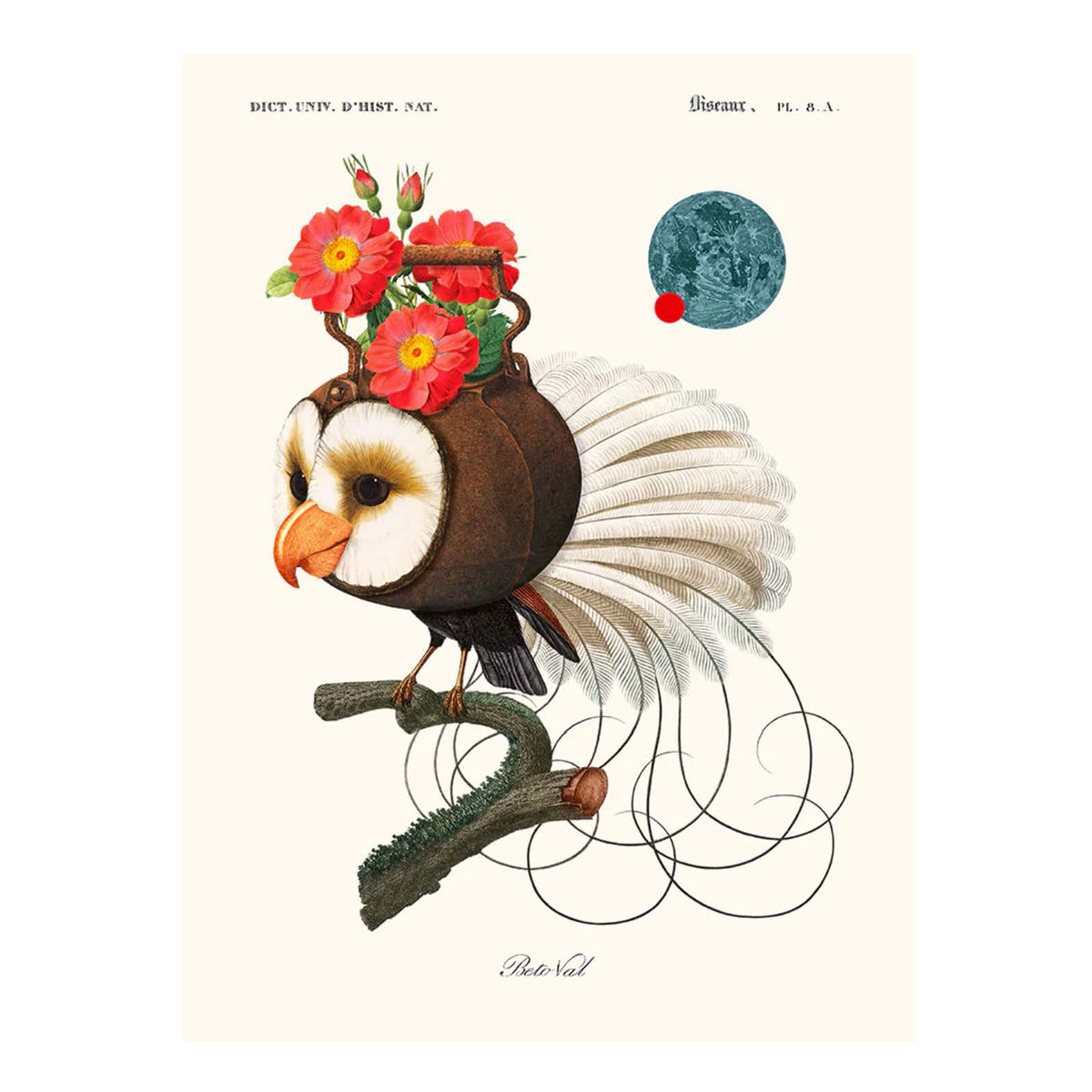Funny little creature - Béto Val– Galerie Portfolio